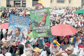 Gremio gallístico protesta contra prohibició­n de peleas de gallos ...