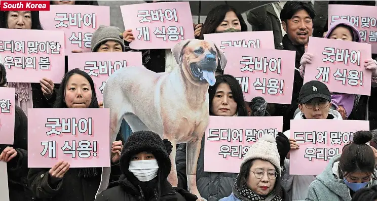 Lawmakers pass dog meat ban - PressReader