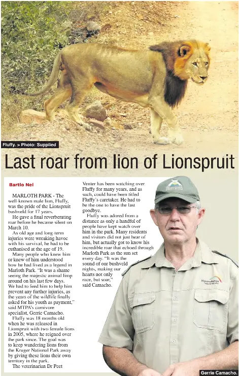 Last roar from lion of Lionspruit - PressReader