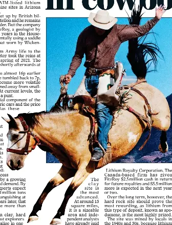 Yee-hah! You could buck up your funds with a metal miner in cowboy country - PressReader