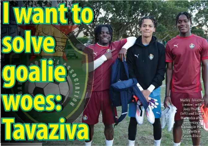 I want to solve goalie woes: Tavaziva - PressReader