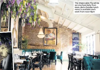 This place is no pigsty - PressReader