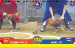 VILLANUEVA WARNS REVIVING ‘E-SABONG’ FAR WORSE THAN POGO - PressReader