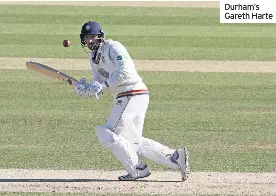 Home (business) is where the Harte is for Durham star - PressReader