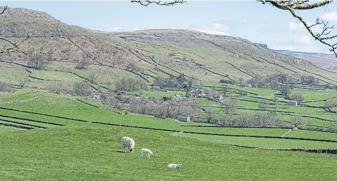 MY YORKSHIRE Hannah French - PressReader