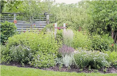 Perennials brighten a summer border - PressReader