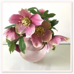 Demonstrat­ion continued - PressReader