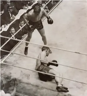 MAULED BY THE ‘TOY BULLDOG’ - PressReader