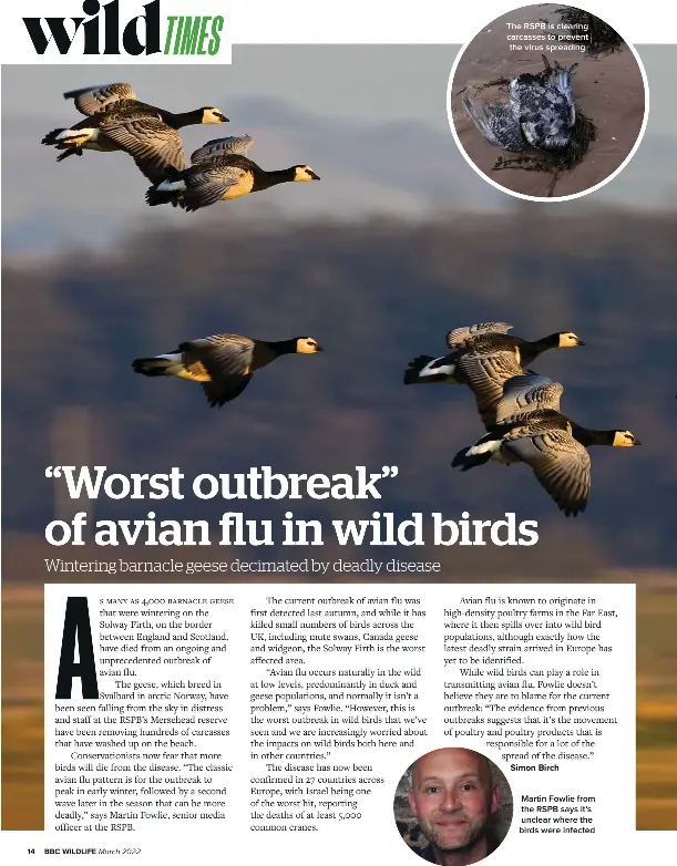“Worst outbreak” of avian flu in wild birds - PressReader