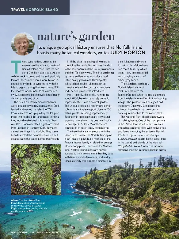 Nature’s garden - PressReader