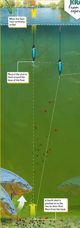 Bob Roberts: Driftbeate­r float - PressReader