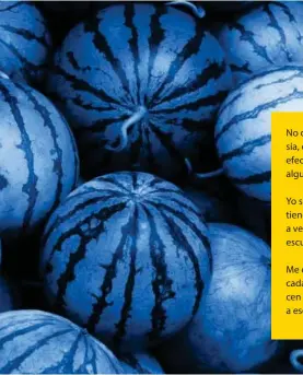 POR QUÉ SON AZULES LAS SANDÍAS - PressReader