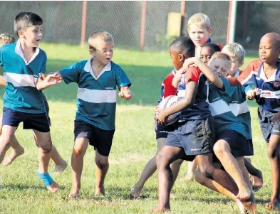 Winter sport buzz at Heuwelland Primary - PressReader