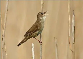 Basic Principles - PressReader