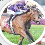 Maher has both sides of border covered - PressReader