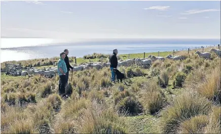 NZ wool floors show crowds - PressReader