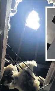 Thieves pounce in daring rooftop raid - PressReader