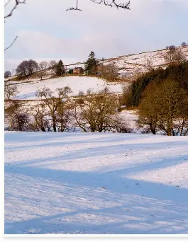 DEMONSTRAT­ION Winter Patterns - PressReader