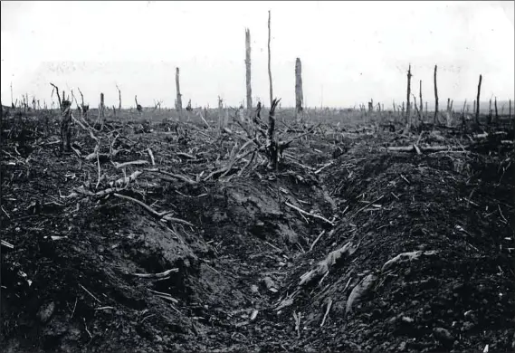 ‘They fell with their faces to the foe’: - PressReader