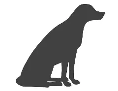 Confession­s of a college president’s dog-sitter - PressReader