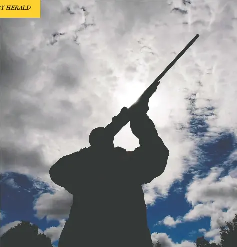 Expanded gun ban could add $1 billion to tab - PressReader