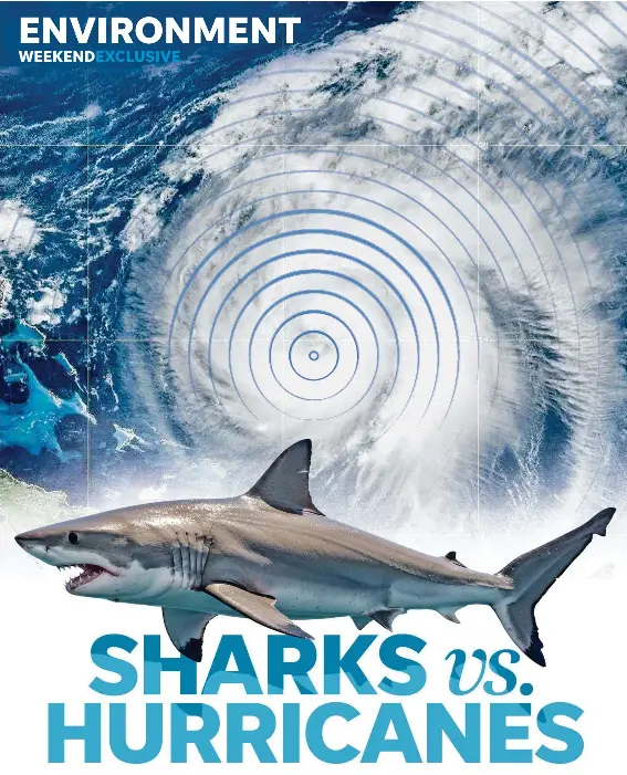 SCIENTISTS SAY PREDATORS CAN HELP TRACK STORMS - PressReader