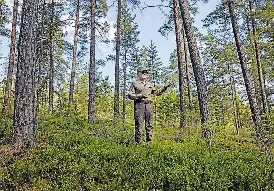 Tolv vill efterträda Jansson som skogsbruks­ingenjör i Raseborg ...