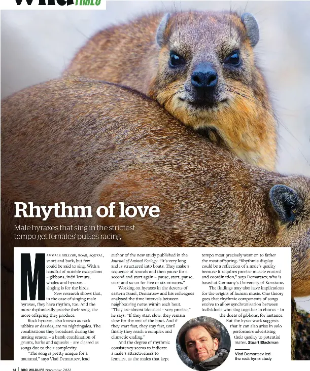 Rhythm of love - PressReader