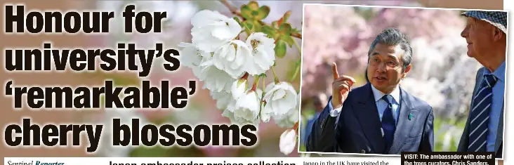HONOUR FOR UNIVERSITY’S ‘REMARKABLE’ CHERRY BLOSSOMS - PressReader