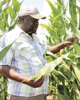 INSPIRED TO TEACH, DESTINED TO FARM - PressReader