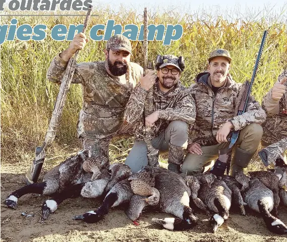 Canards et outardes Stratégies en champ - PressReader
