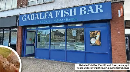 Man shocked to find a maggot in doner kebab - PressReader