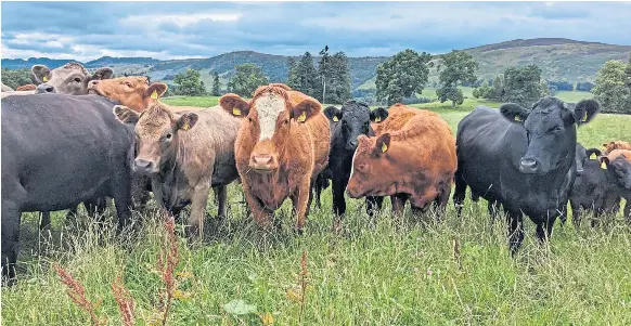 Backing for farmers in national park to adopt green practices - PressReader