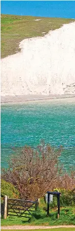 BUY TO LET OR HOLIDAY LET? - PressReader