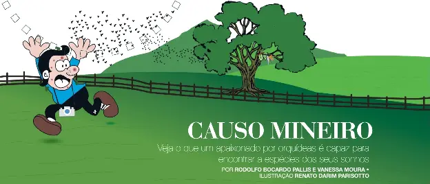 CAUSO MINEIRO - PressReader