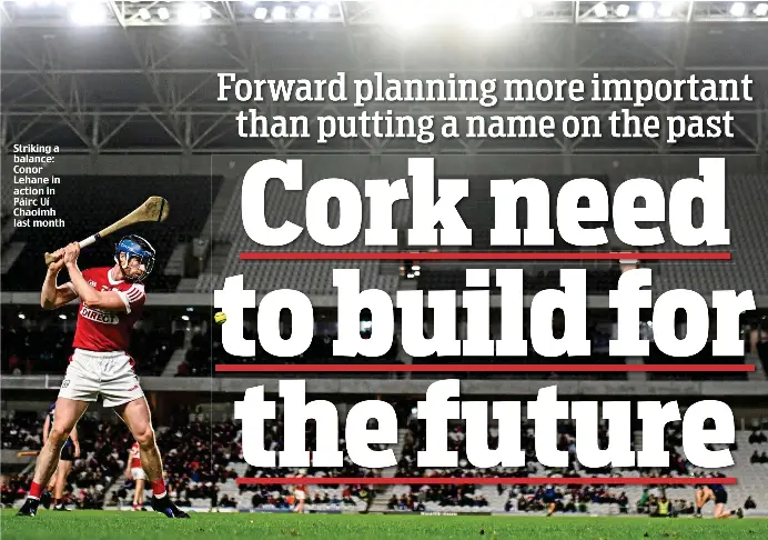 Cork need to build for the future - PressReader