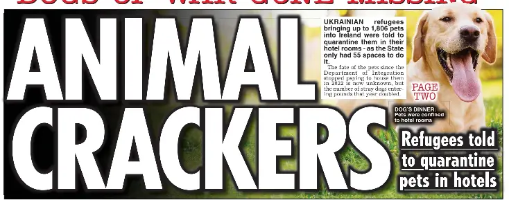 ANIMAL CRACKERS - PressReader