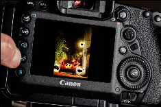 Camera skills Bright spots - PressReader