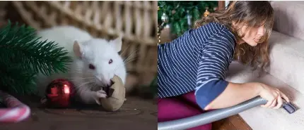 Keep it clean this Christmas - PressReader