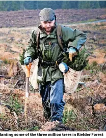 Three million trees being planted at Kielder Forest - PressReader