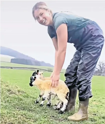 Shepherdes­s pulls two lambs from pipe in heroic rescue - PressReader