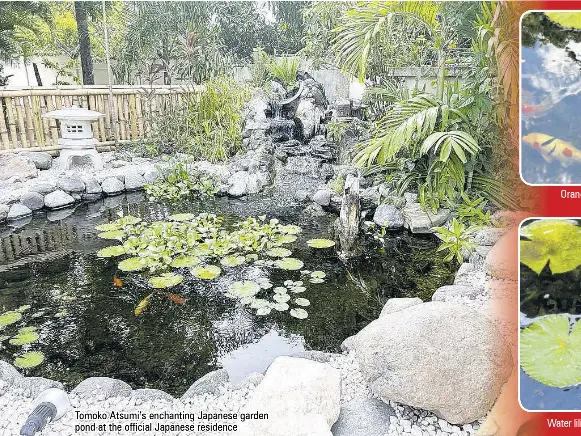 A Tranquil Transforma­tion - PressReader