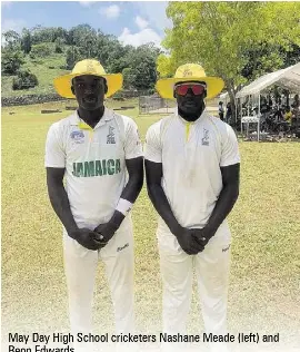 Manchester oust defending champs STETHS in Headley Cup semis - PressReader