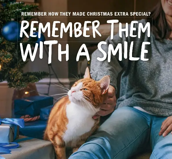 Remember them with a smile - PressReader