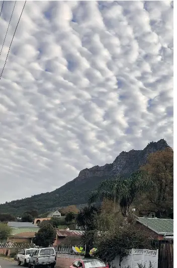 Pniel holds a ‘secret’ history of the Winelands - PressReader