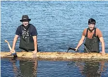 Die „Kathedrale der Natur“leidet - PressReader