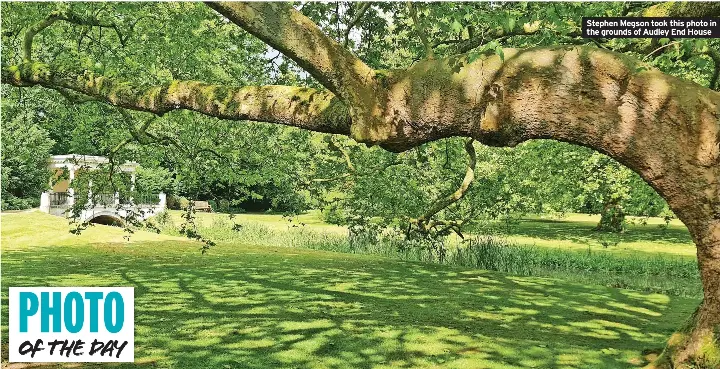 Why vote when all parties let us down? - PressReader