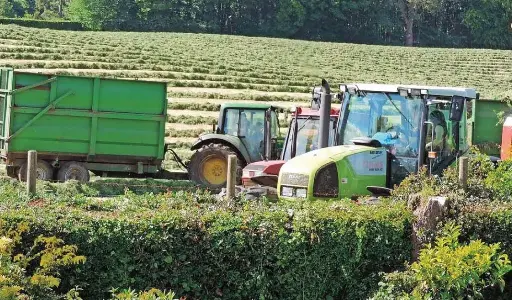 Firm hits back at ‘desperatio­n’ claim - PressReader