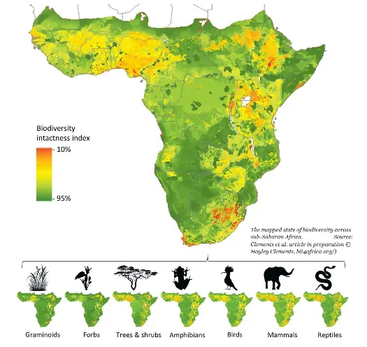 Map shows that Africa is greener - PressReader