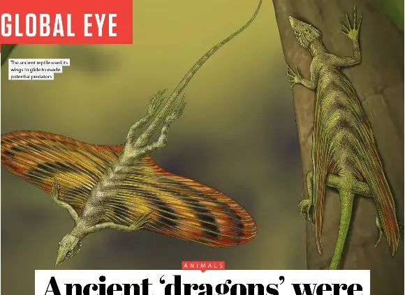 Ancient ‘dragons’ were Earth’s first gliding reptiles - PressReader